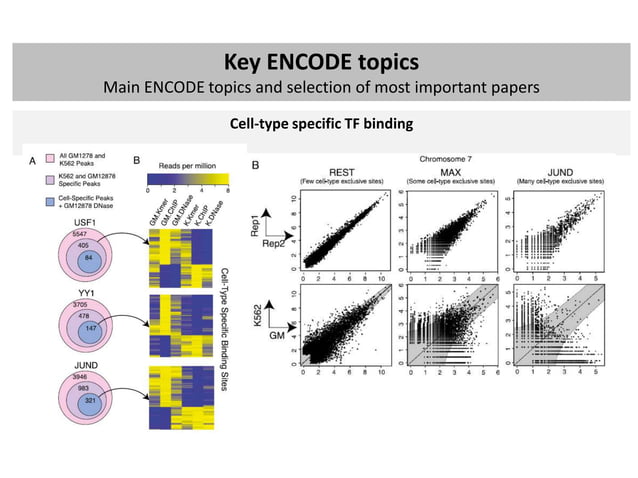ENCODE project: brief summary of main findings | PPT