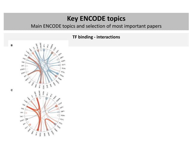 ENCODE project: brief summary of main findings | PPT