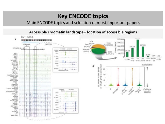 ENCODE project: brief summary of main findings