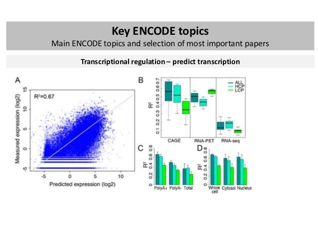ENCODE project: brief summary of main findings