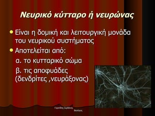 νευρικό σύστημα | PPT