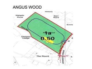 Angus Wood and Blandford Meadows' Project | PPT