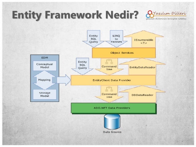 Asp.Net & Entity Framework Asp.Net & Entity Framework