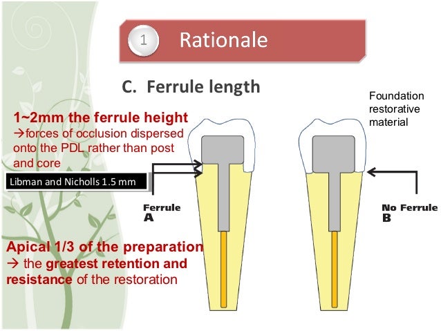 Contemporary Crown-lengthening Therapy