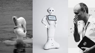 20121510 david nevin_jbtd_dt_comparative_analysis 2-compressed | PPT