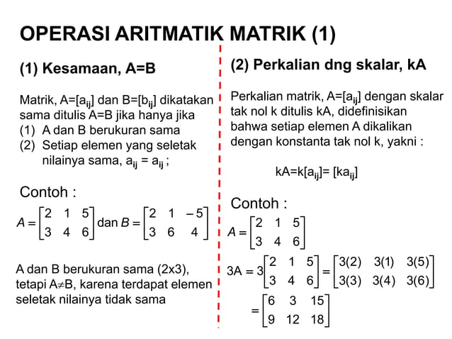 Matriks dan Determinan | PDF
