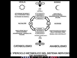 Fractal Mind: from simple rule to complex phenomena | PPT
