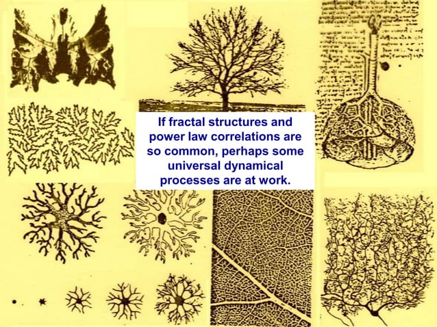 Fractal Mind: from simple rule to complex phenomena | PPT