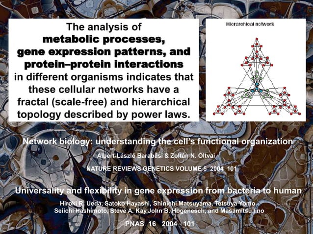 Fractal Mind: from simple rule to complex phenomena | PPT