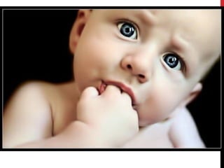 2012 NTU EMBA Design Thinking Challenge- The Wallet Project | PPT