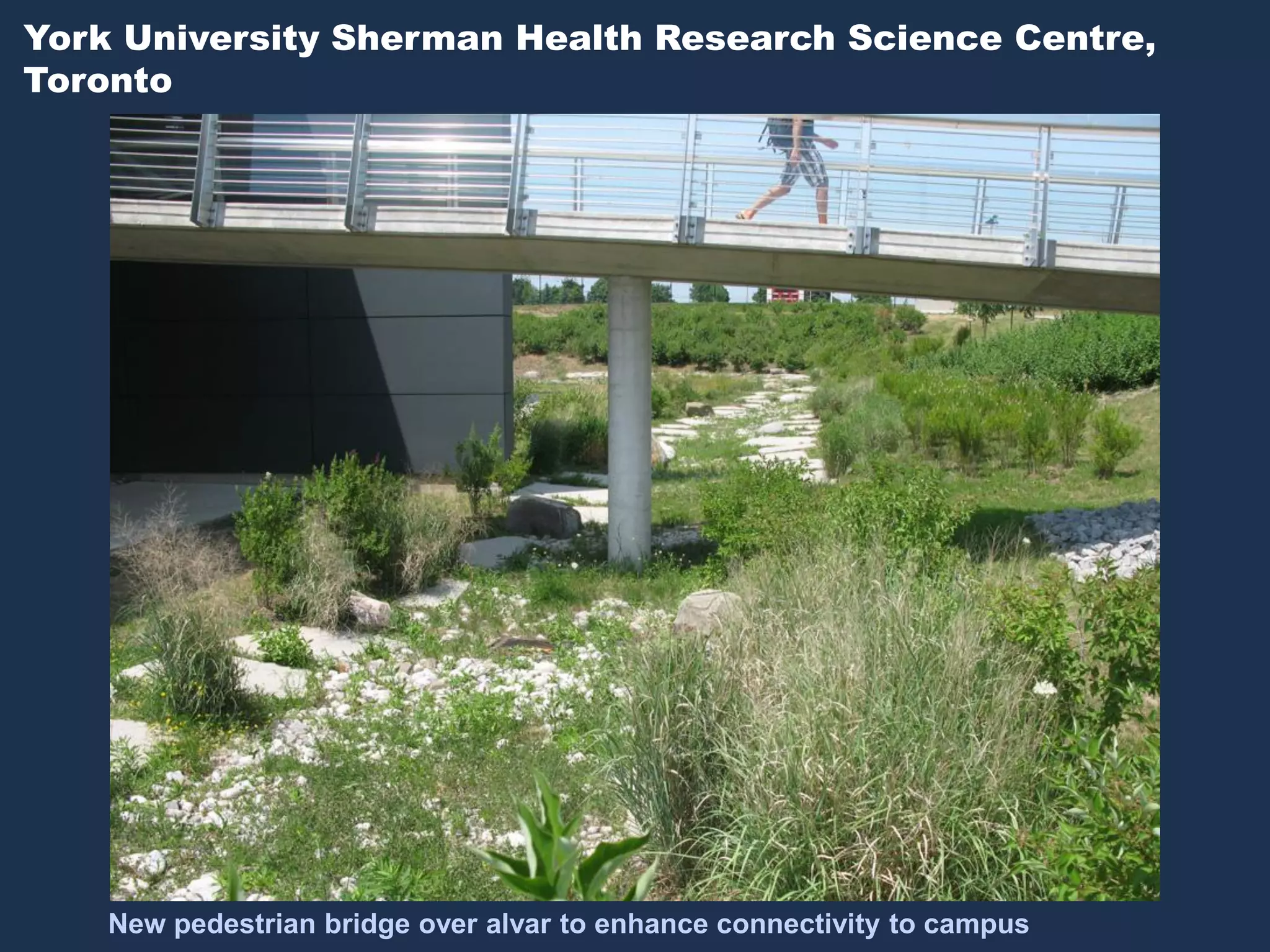 Low-Impact Development Case Study Examples | PDF