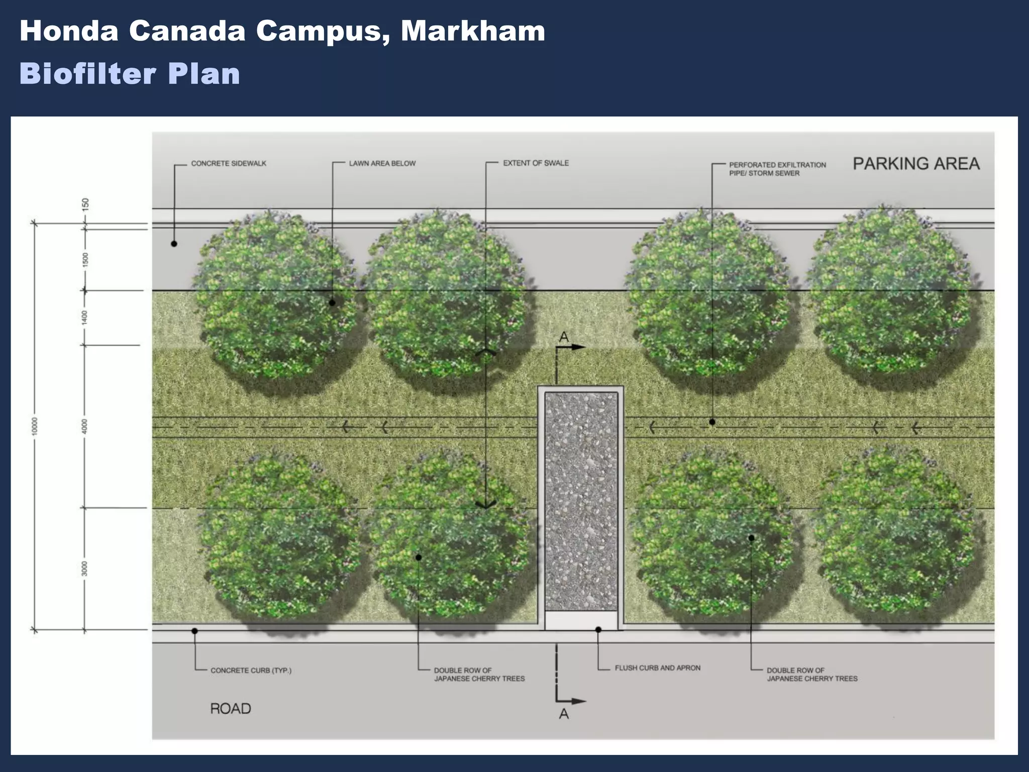 Low-Impact Development Case Study Examples | PDF