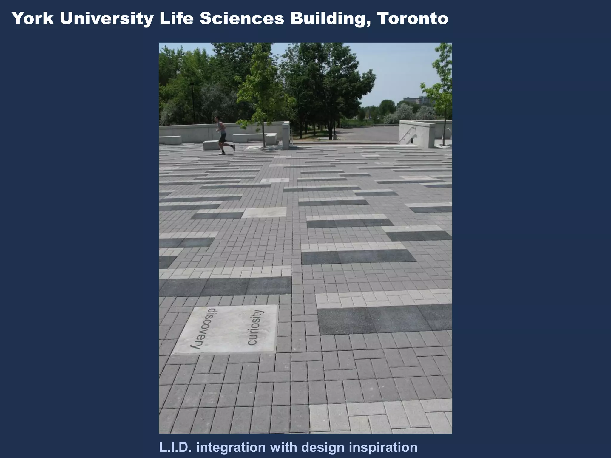 Low-Impact Development Case Study Examples | PDF