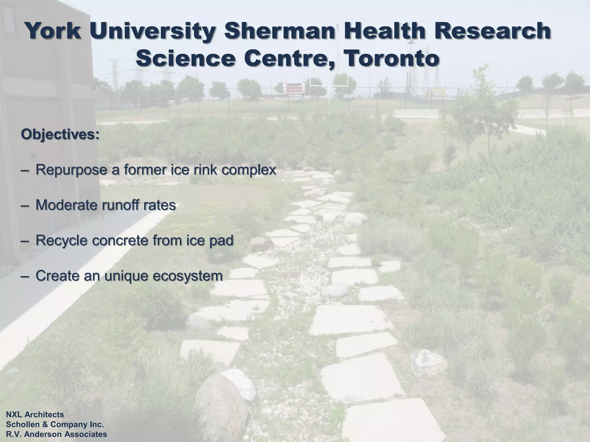 Low-Impact Development Case Study Examples | PDF