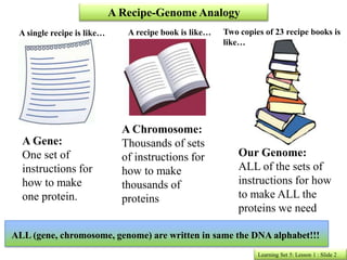 Learning Set 5: Lesson 1 | PPTX