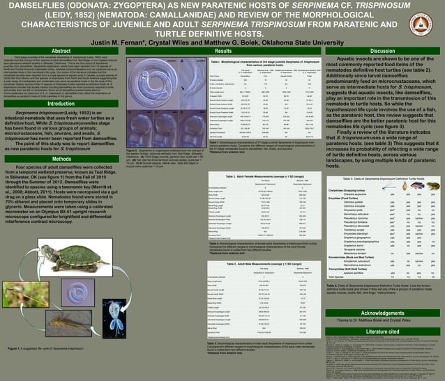 2012 nematode poster | PPTX | Reptiles | Pets