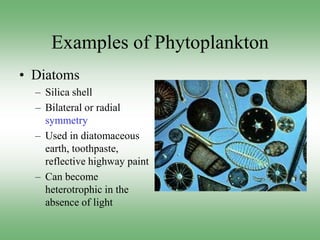 kingdom protista 2012 Protist Slides.ppt