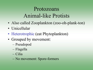 kingdom protista 2012 Protist Slides.ppt