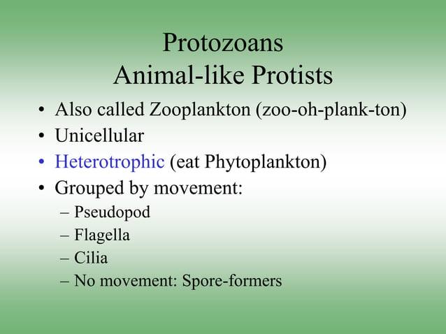 kingdom protista 2012 Protist Slides.ppt