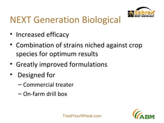 2012 sabrex winter wheat | PPT