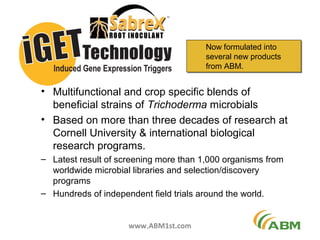 2012 sabrex winter wheat | PPT