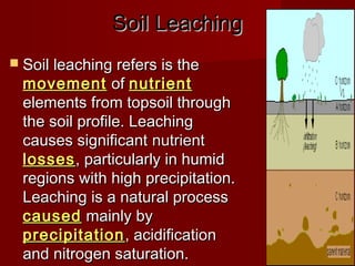 2012 soil | PPT