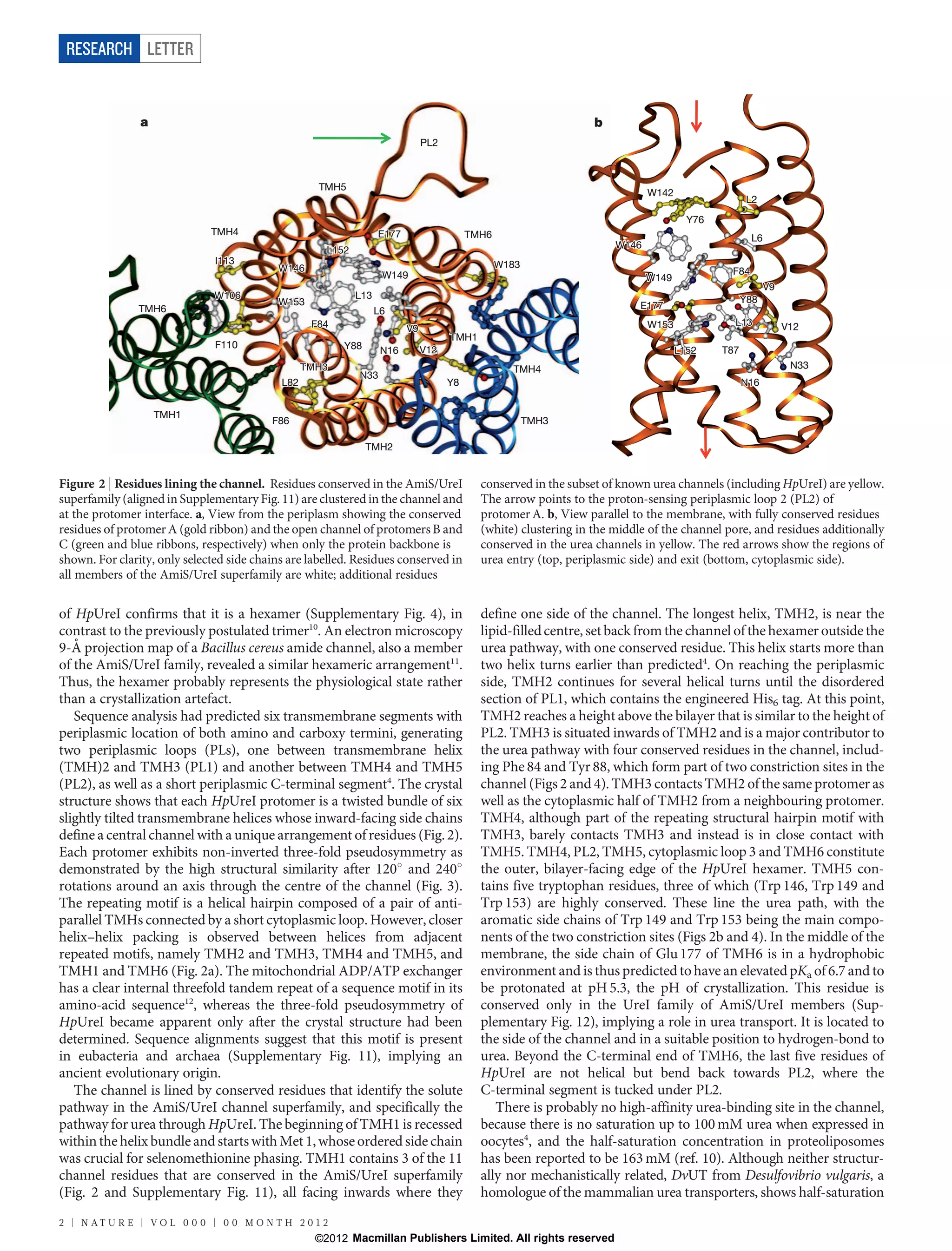 2012 structure of the proton gated urea channel from the gastric ...