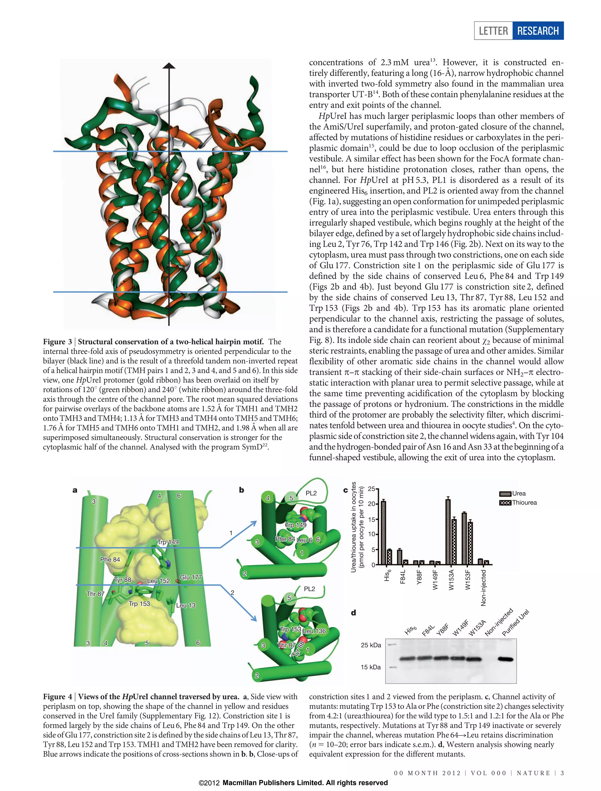 2012 structure of the proton gated urea channel from the gastric ...