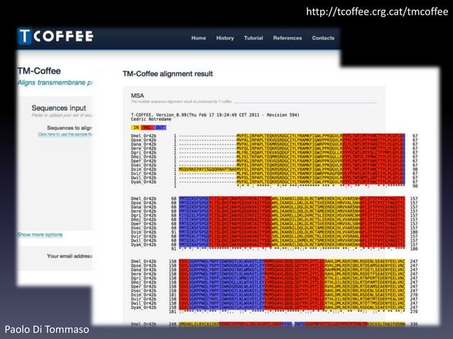 TM-Coffee : Accurate multiple sequence alignment of transmembrane proteins with PSI-Coffee | PPT