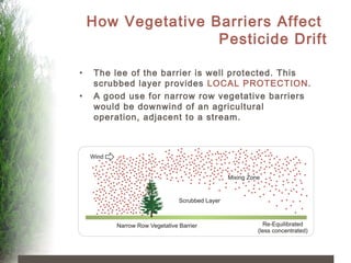 Vegetative Barriers to Spray Drift | PPT