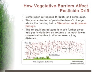 Vegetative Barriers to Spray Drift | PPT