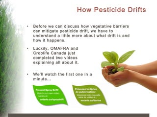 Vegetative Barriers to Spray Drift | PPT