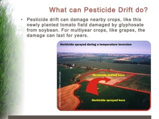 Vegetative Barriers to Spray Drift | PPT