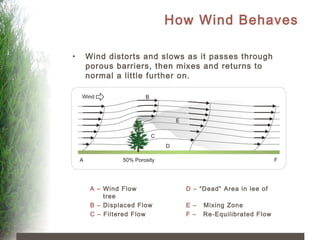 Vegetative Barriers to Spray Drift | PPT