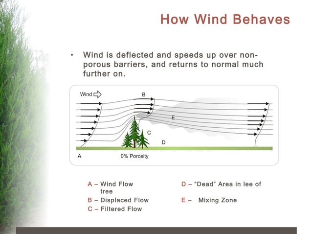 Vegetative Barriers to Spray Drift | PPT