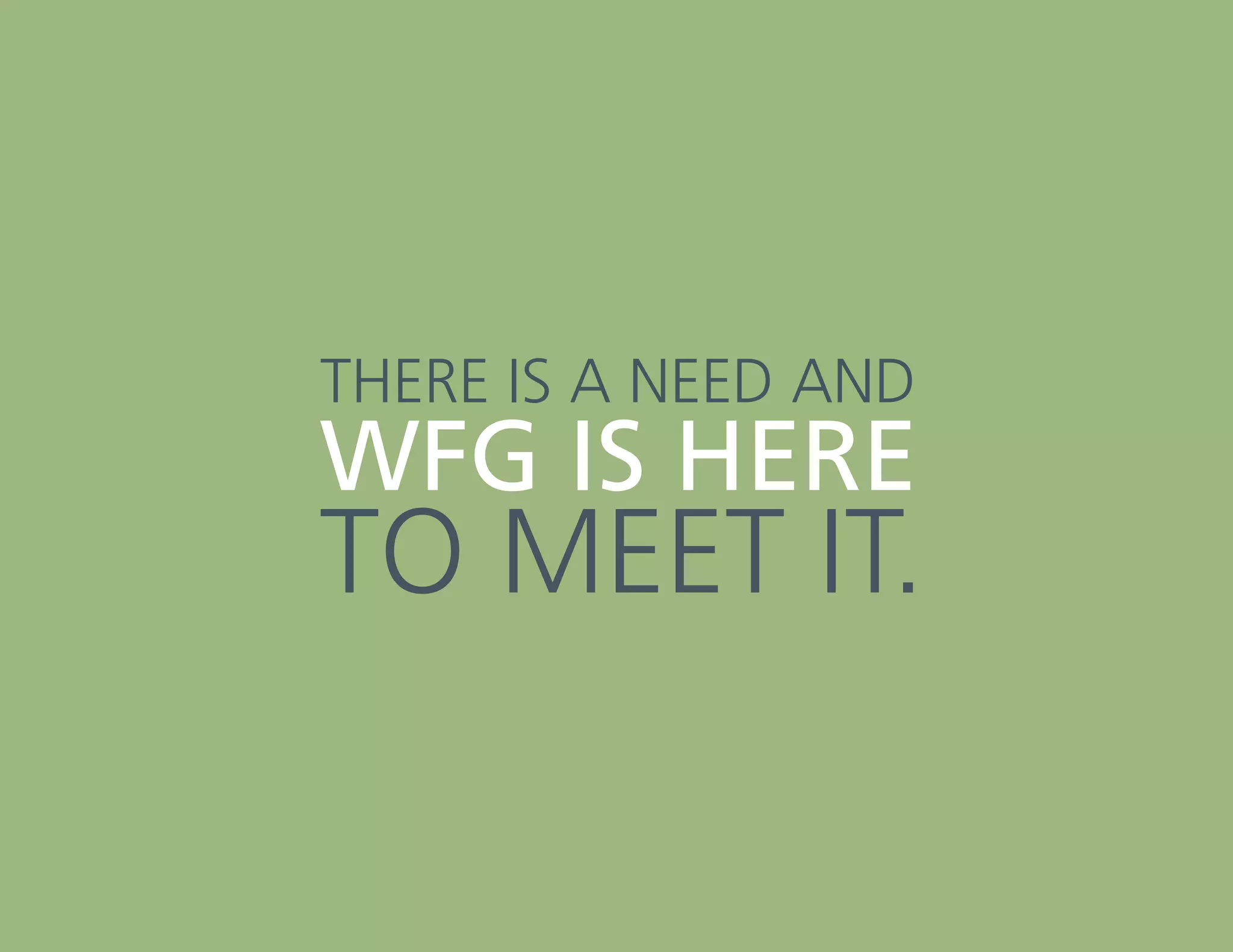 WFG Business presentation | PDF