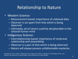 Astronomy and Culture | PDF