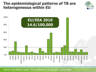 Urban Tuberculosis Control in the European Union | PDF
