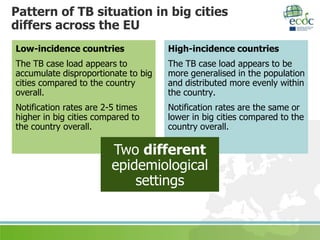 Urban Tuberculosis Control in the European Union | PDF