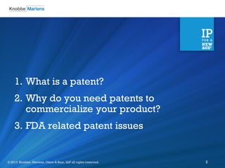 Commercialization and Patent Infringement | PPT