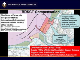 2013 06 bristol deep sea container terminal - jerry stanford | PPTX