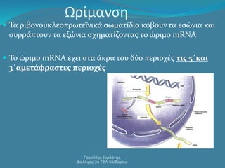 μεταγραφή | PPT