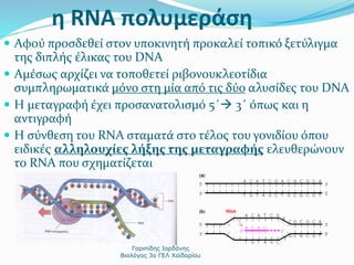 μεταγραφή | PPT
