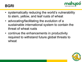 Public-Private Partnership to Advance the Goals of BGRI | PDF