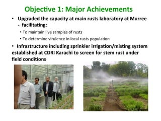 Wheat Productivity Enhancement Program (WPEP) | PDF