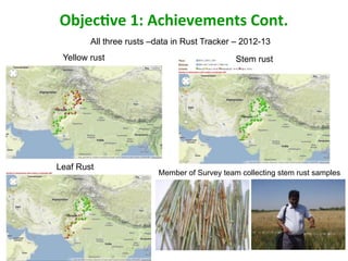 Wheat Productivity Enhancement Program (WPEP) | PDF