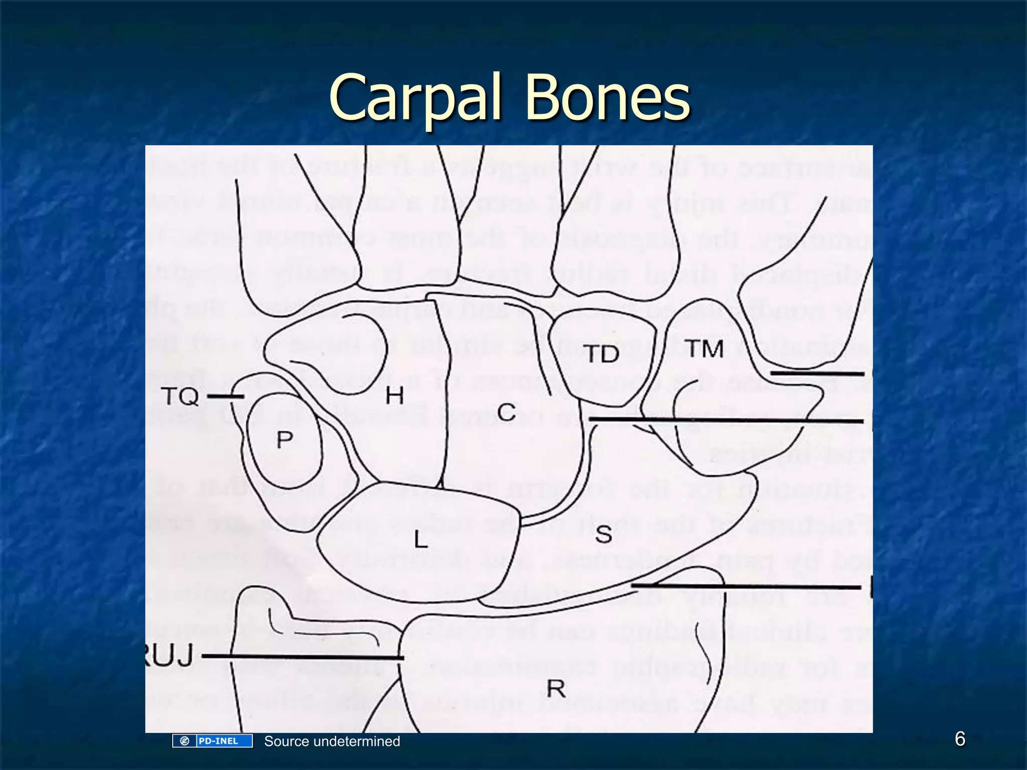 GEMC: Radiology: X-rays of the Hand and Wrist: Resident Training | PDF