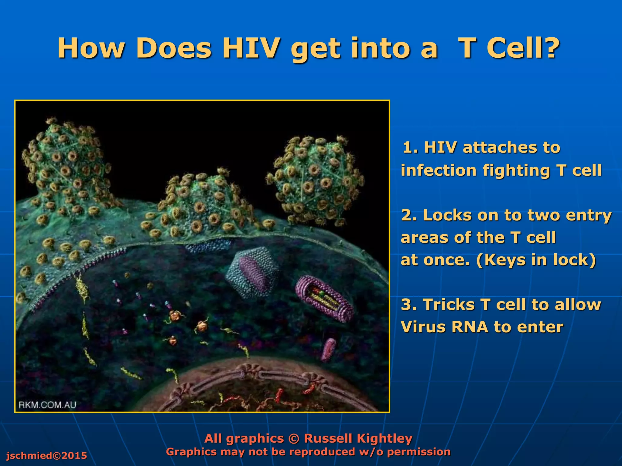 HIV AIDS presentation | PPTX