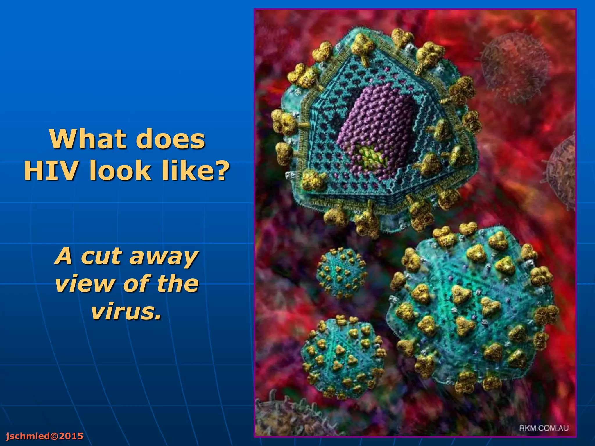 HIV AIDS presentation | PPTX