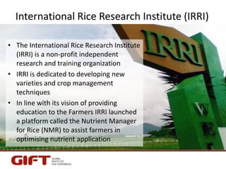 ICT Enabled Service Delivery for Rice Farming | PDF